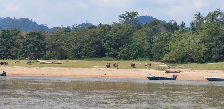 Backpacking Malaysia (2026): Best Places, Routes