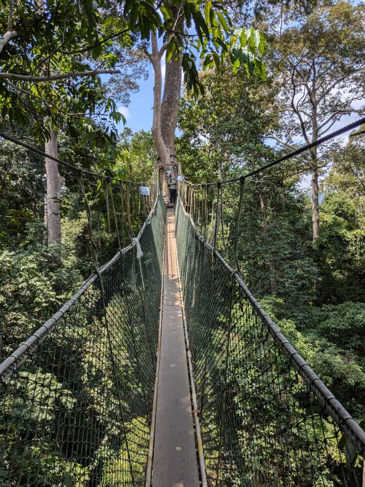 Backpacking Malaysia (2026): Best Places, Routes