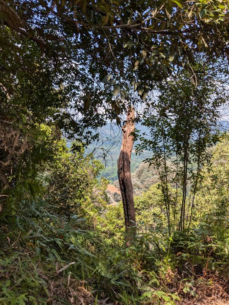 Backpacking Malaysia (2026): Best Places, Routes