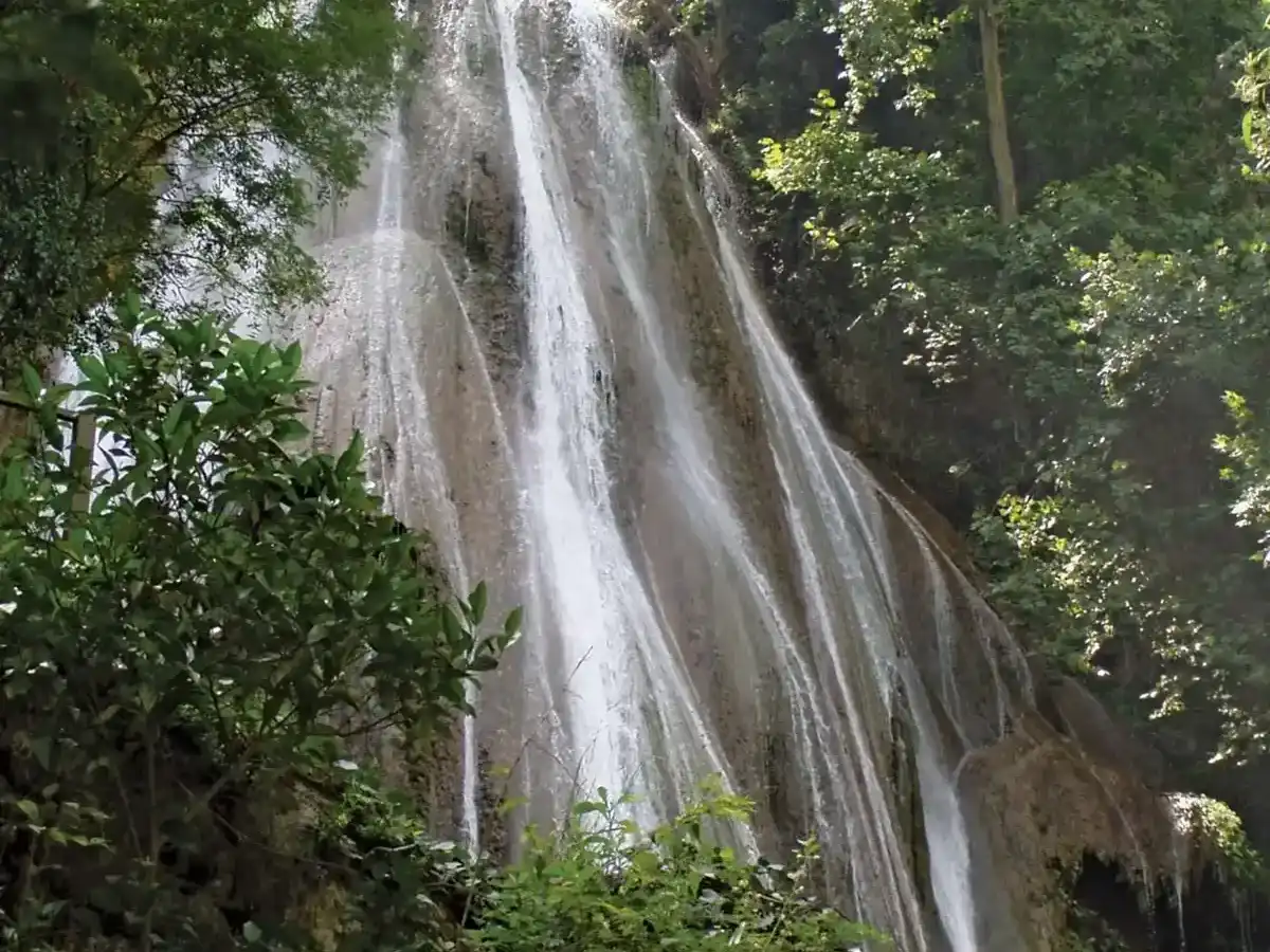 Cumbres de Monterrey National Park Guide (Mexico, 2026)