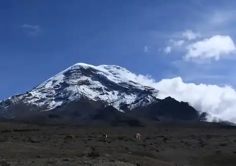 Chimborazo, Ecuador National Park Guide (2026) – Trails