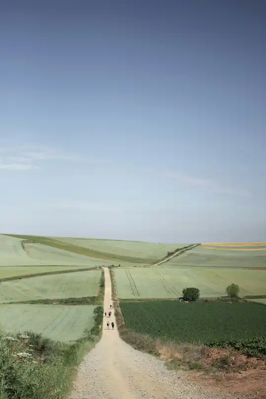 Camino de Santiago de Compostela Hike Guide (Spain, 2026)